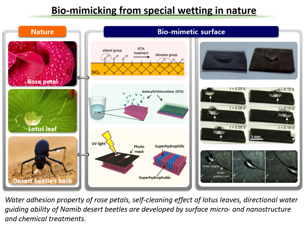 Bioengineering – NanoBio Device Lab.