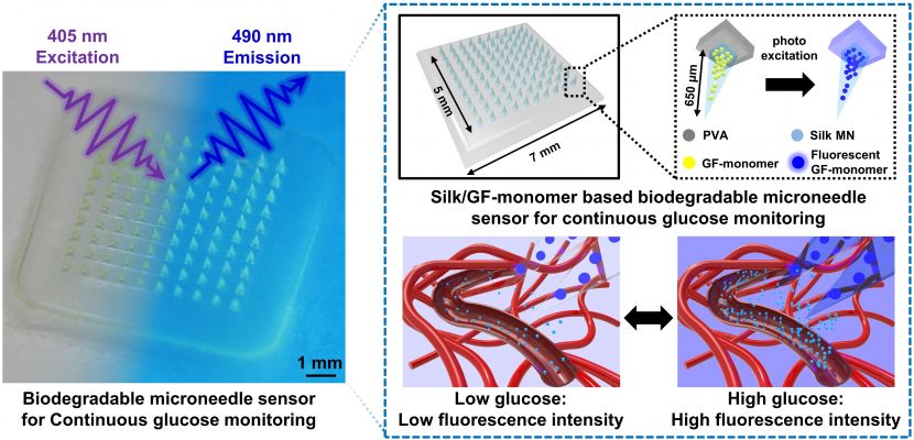 Publications – NanoBio Device Lab.