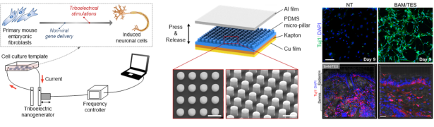 [Acceptance] “Triboelectric Nanogenerator Accelerates Highly Efficient ...